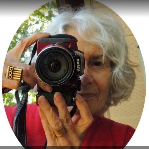 A Chat with Remarkable Abstract Visual Artist Signhild Damus – Ottawa ...